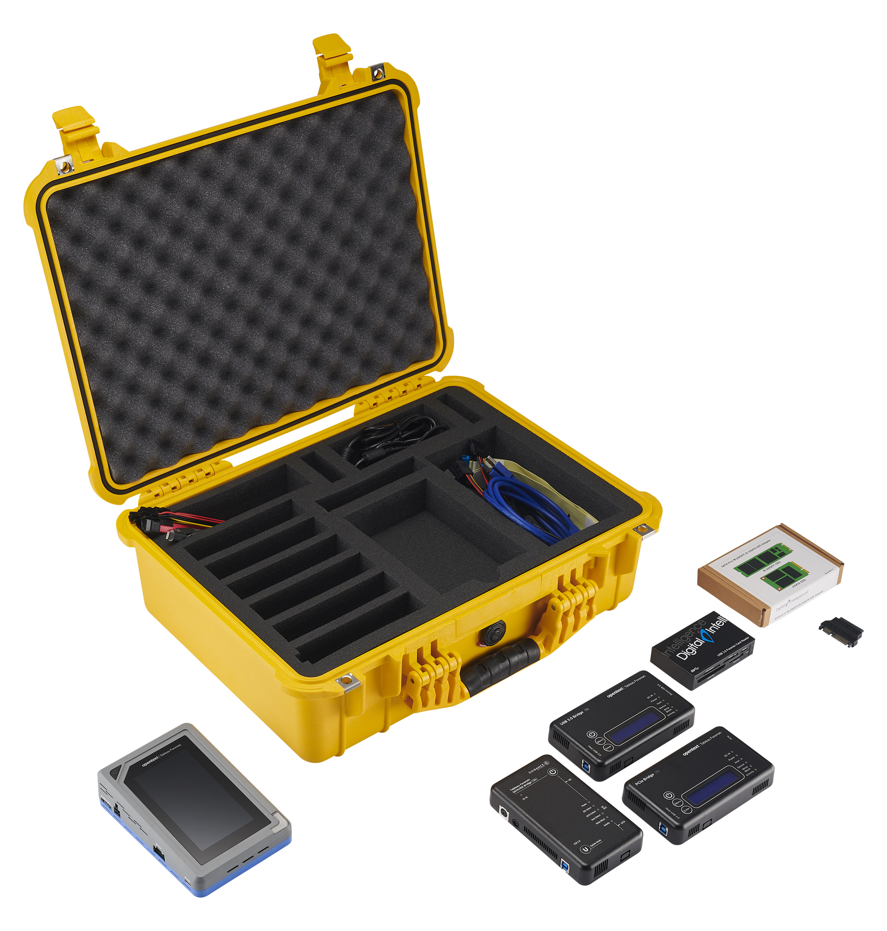 Digital Intelligence